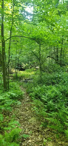 Best Hikes and Trails in Big Spring State Park | AllTrails