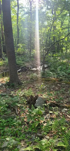 Best Hikes and Trails in Big Spring State Park | AllTrails