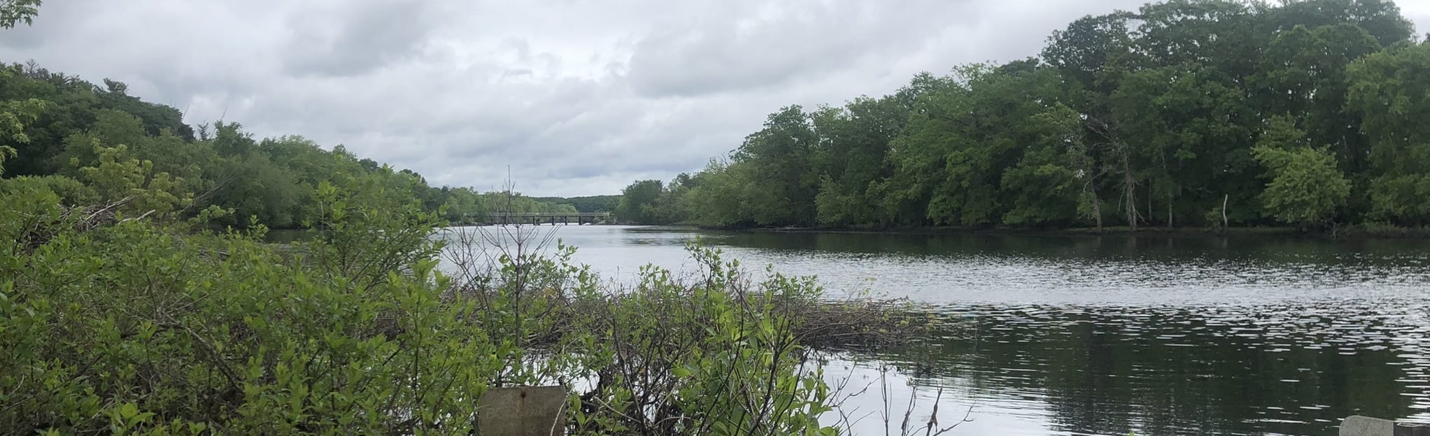 Elliot Trail, Massachusetts - 27 Reviews, Map | AllTrails