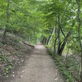 East Rock Loop Trail, Connecticut - 1,235 Reviews, Map | AllTrails