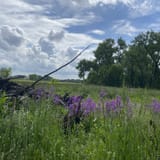 LOBO Trail: Longmont to Boulder Path, Colorado - 424 Reviews, Map ...