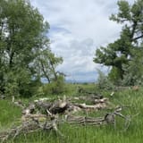 LOBO Trail: Longmont to Boulder Path, Colorado - 395 Reviews, Map ...