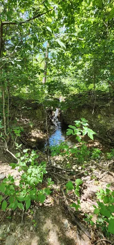 Best Hikes and Trails in Beaver Run Park | AllTrails