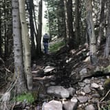 Baker Lake Trail, Nevada - 153 Reviews, Map | AllTrails