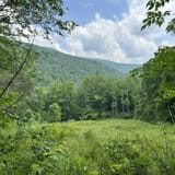 South Toe River Loop Trail, North Carolina - 431 Reviews, Map | AllTrails