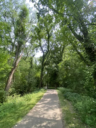 10 Best Walking Trails in St. Louis | AllTrails