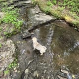 Tinker Falls Upper, New York - 386 Reviews, Map | AllTrails