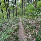 Tinker Falls Upper, New York - 386 Reviews, Map | AllTrails