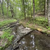 Tinker Falls Upper, New York - 386 Reviews, Map | AllTrails