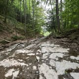 Tinker Falls Upper, New York - 386 Reviews, Map | AllTrails