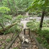 Tinker Falls Upper, New York - 403 Reviews, Map | AllTrails