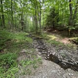 Tinker Falls Upper, New York - 403 Reviews, Map | AllTrails