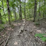 Tinker Falls Upper, New York - 403 Reviews, Map | AllTrails