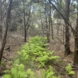 Good Water Loop, Texas - 757 Reviews, Map | AllTrails