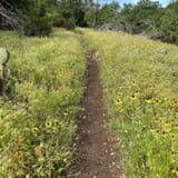 Good Water Loop, Texas - 820 Reviews, Map | AllTrails