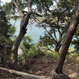 Good Water Loop, Texas - 757 Reviews, Map | AllTrails