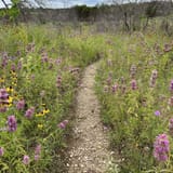 Good Water Loop, Texas - 757 Reviews, Map | AllTrails