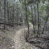 Good Water Loop, Texas - 757 Reviews, Map | AllTrails