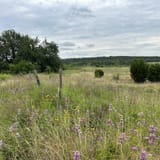 Good Water Loop, Texas - 757 Reviews, Map | AllTrails