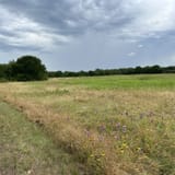 Good Water Loop, Texas - 757 Reviews, Map | AllTrails