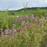 Good Water Loop, Texas - 757 Reviews, Map | AllTrails