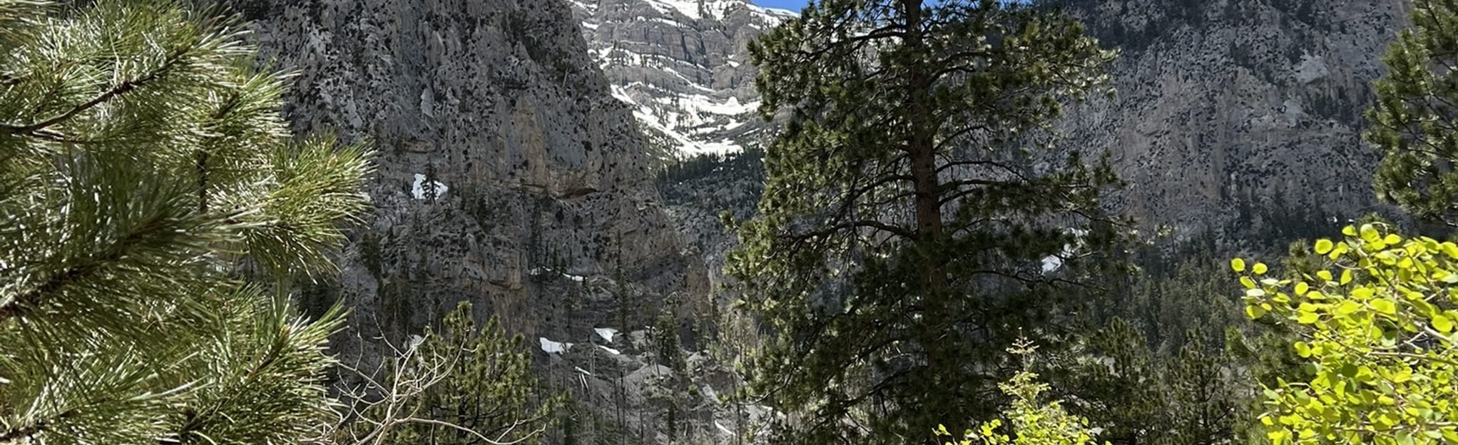 Mary Jane Falls Trail: 4,201 fotos - Nevada | AllTrails