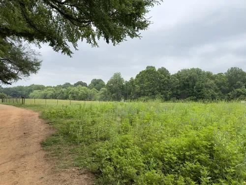 10 Best Trails and Hikes in Fort Mill | AllTrails