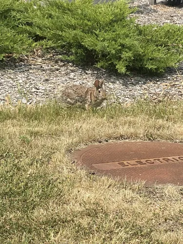 Best Hikes and Trails in Colonial Park | AllTrails