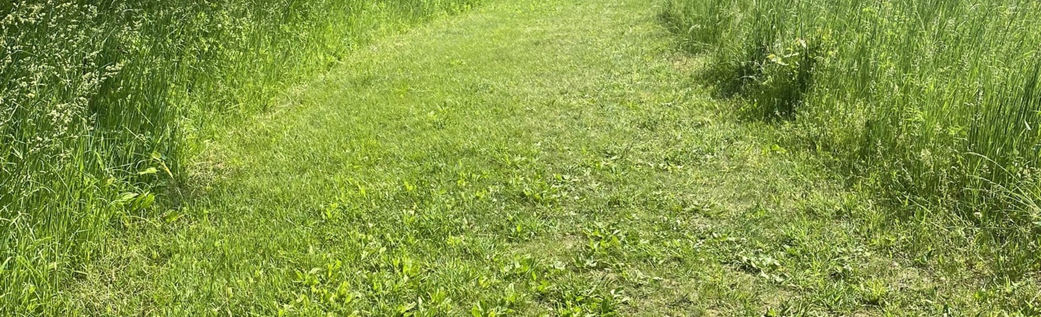 Colonial Park Loop, Wisconsin - 12 Reviews, Map | AllTrails