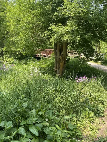 Best Hikes and Trails in Colonial Park | AllTrails