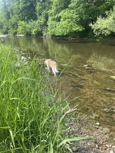 Best Hikes and Trails in Colonial Park | AllTrails