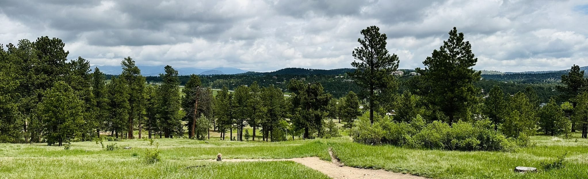 Meadow View and Sleepy's Trail: 997 foto's - Colorado | AllTrails