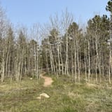 Granite Ridge Trail, Colorado - 71 Reviews, Map | AllTrails