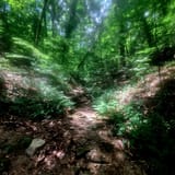 Patton Cave via Hayes and Patton Cave Trail, Indiana - 290 Reviews, Map ...