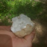 Patton Cave via Hayes and Patton Cave Trail, Indiana - 290 Reviews, Map ...