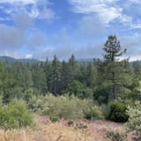 Metate Trail, California - 240 Reviews, Map | AllTrails
