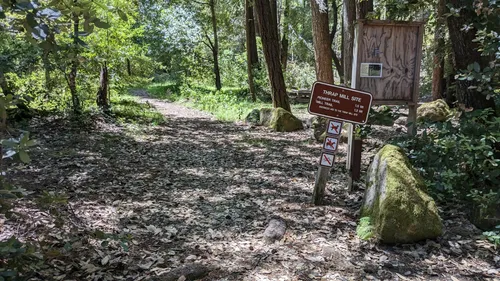 Best Hikes and Trails in Benbow Lake State Recreation Area | AllTrails