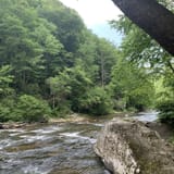 Compression Falls Trail, North Carolina - 344 Reviews, Map | AllTrails