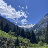 Loop Brook Trail, British Columbia, Canada - 142 Reviews, Map | AllTrails