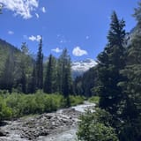 Loop Brook Trail, British Columbia, Canada - 142 Reviews, Map | AllTrails