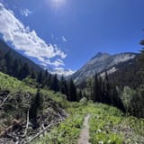 Loop Brook Trail, British Columbia, Canada - 142 Reviews, Map | AllTrails