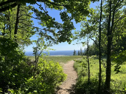 2023 Best 10 Trails and Hikes in Issaquah | AllTrails