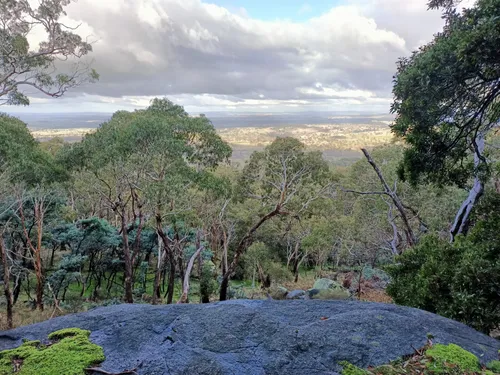 10 Best Forest Trails in Mount Alexander Regional Park | AllTrails