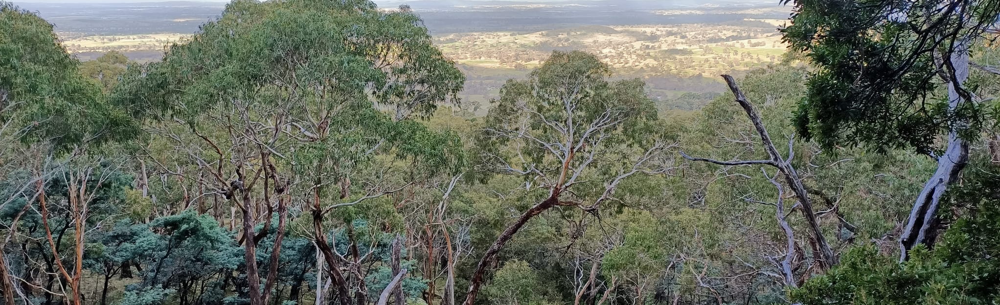 Sandhurst Reservoir to Mount Alexander via Leanganook Track, Victoria ...