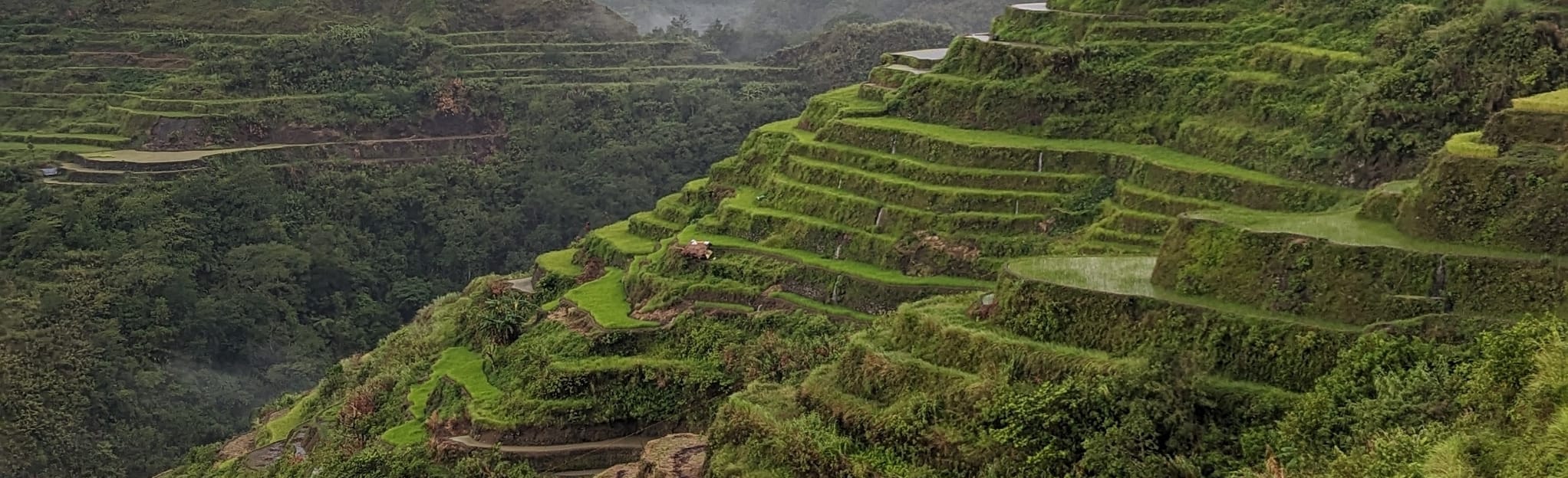 Mount Amuyao - Barlig: 0 Reviews, Map - Ifugao, Philippines | AllTrails