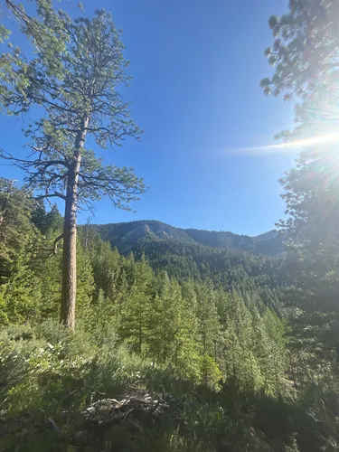 Best Hikes and Trails in Squilchuck State Park | AllTrails