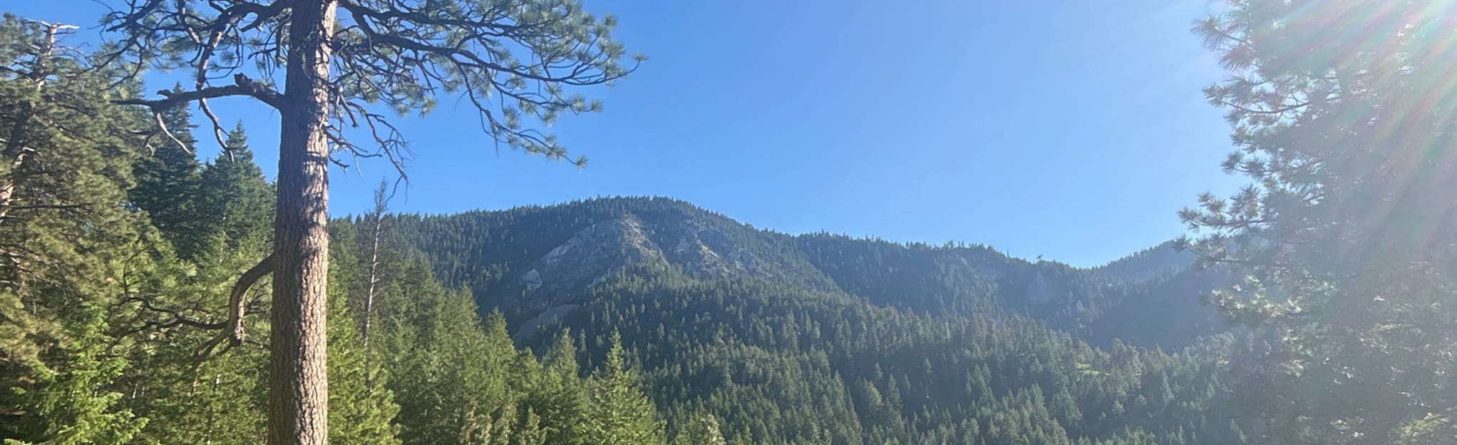 Squilchuck State Park Loop: 114 fotos - Washington | AllTrails