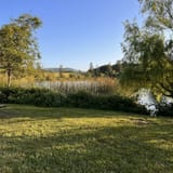 Spring Lake Loop, California - 1,420 Reviews, Map | AllTrails