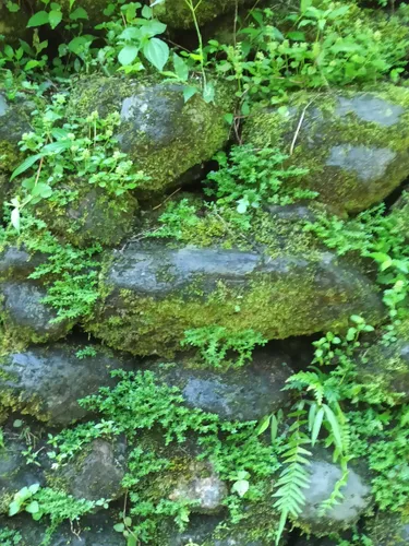 Best Hikes and Trails in Fuyuan National Forest Recreation Area | AllTrails