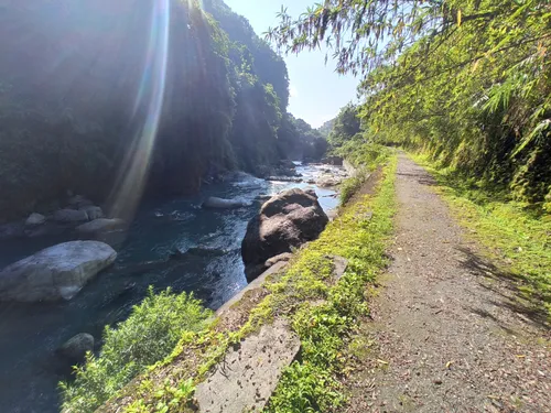 Best Hikes and Trails in Fuyuan National Forest Recreation Area | AllTrails